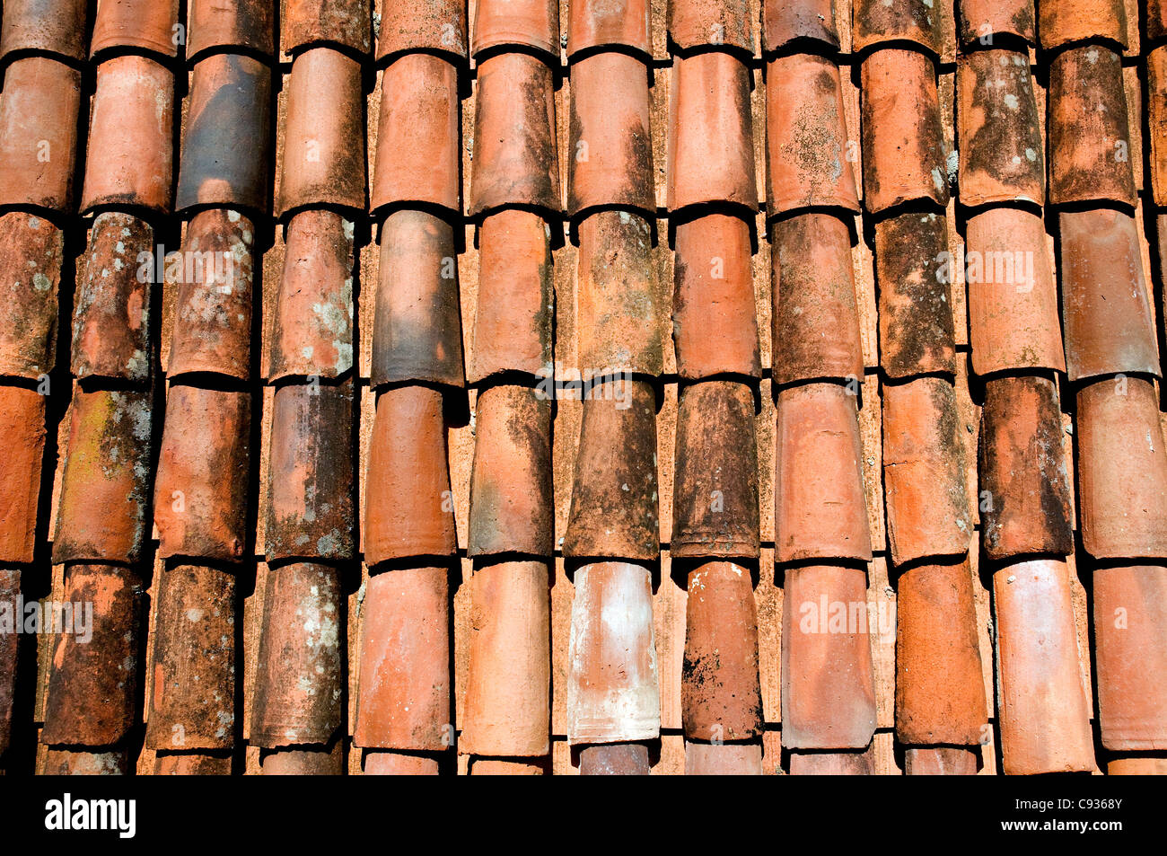 Close up shots of some Imbrices and tegulae Stock Photo - Alamy