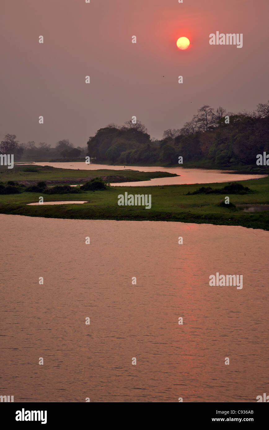 Kaziranga national park river hi-res stock photography and images - Alamy
