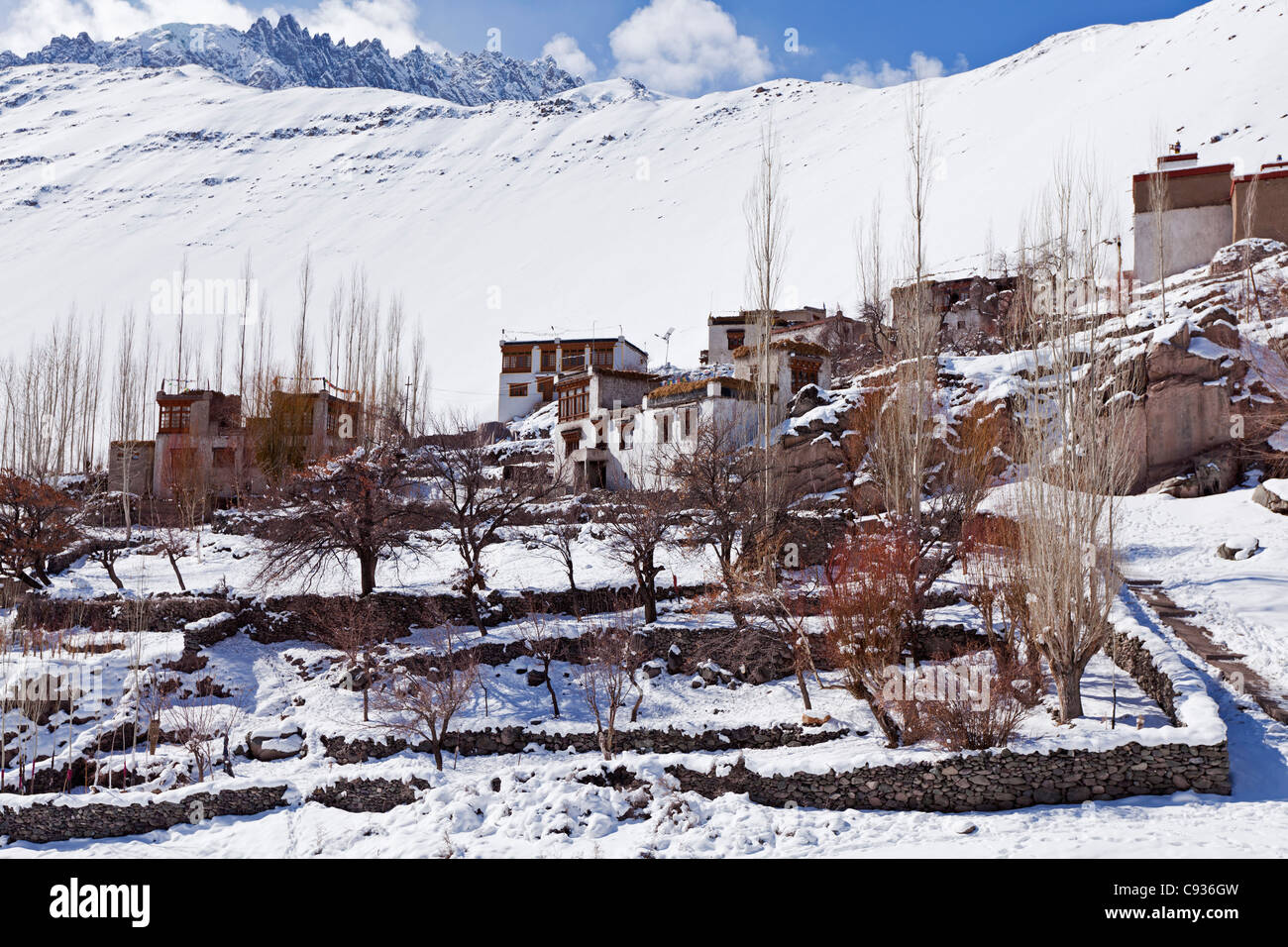 India, Ladakh, Alchi. Alchi, a village situated on the banks of the ...