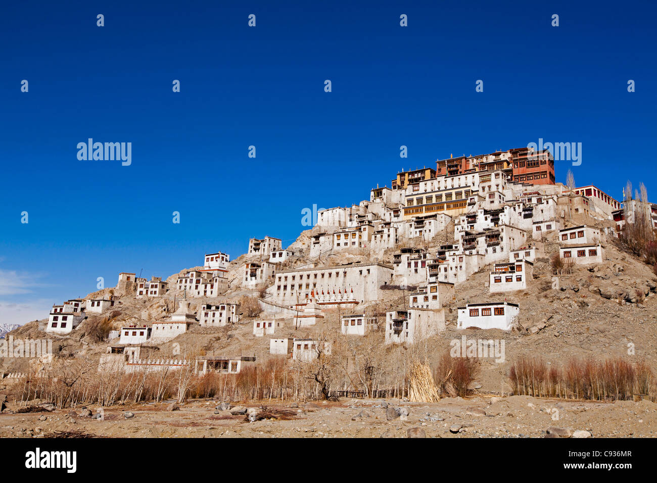 India, Ladakh, Thiksey. The monastic buildings of Thiksey Monastery ...