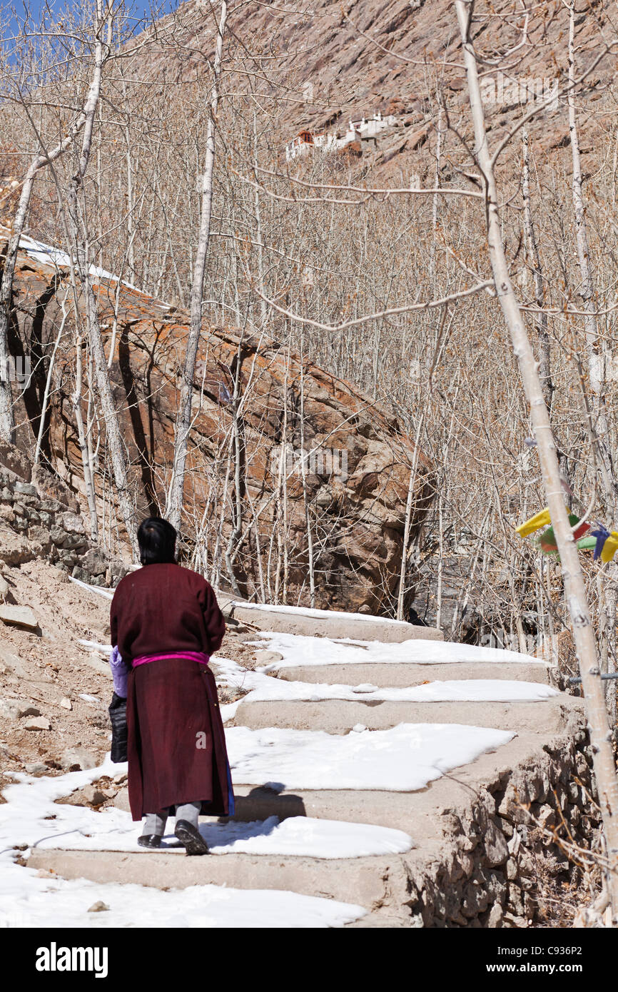 India, Ladakh, Hemis. En route slowly up the steep Shang Valley to ...