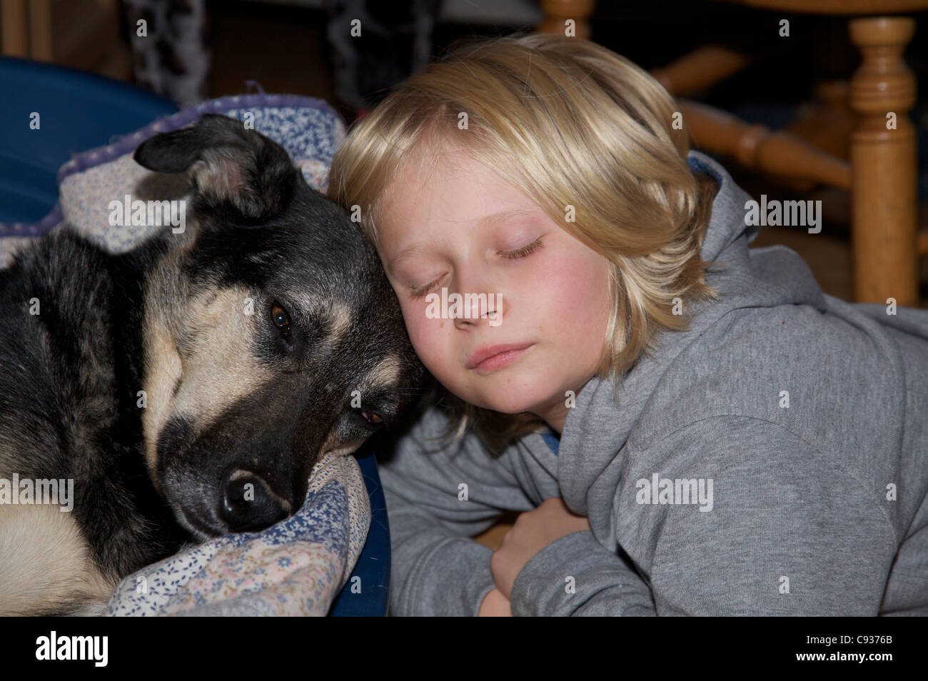 Bedroom buddies hi-res stock photography and images - Alamy