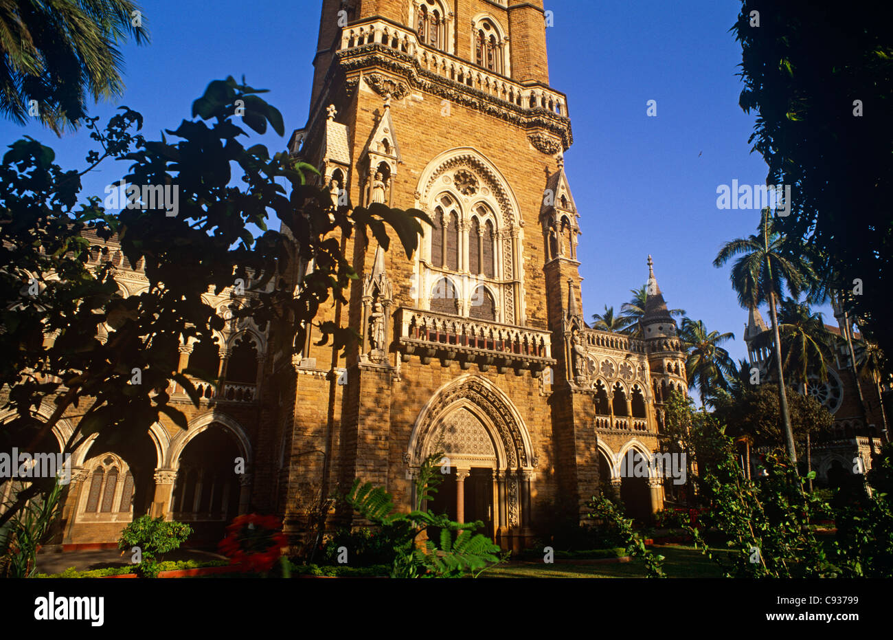 University Of Mumbai Fort Mumbai Bombay India High Resolution Stock ...