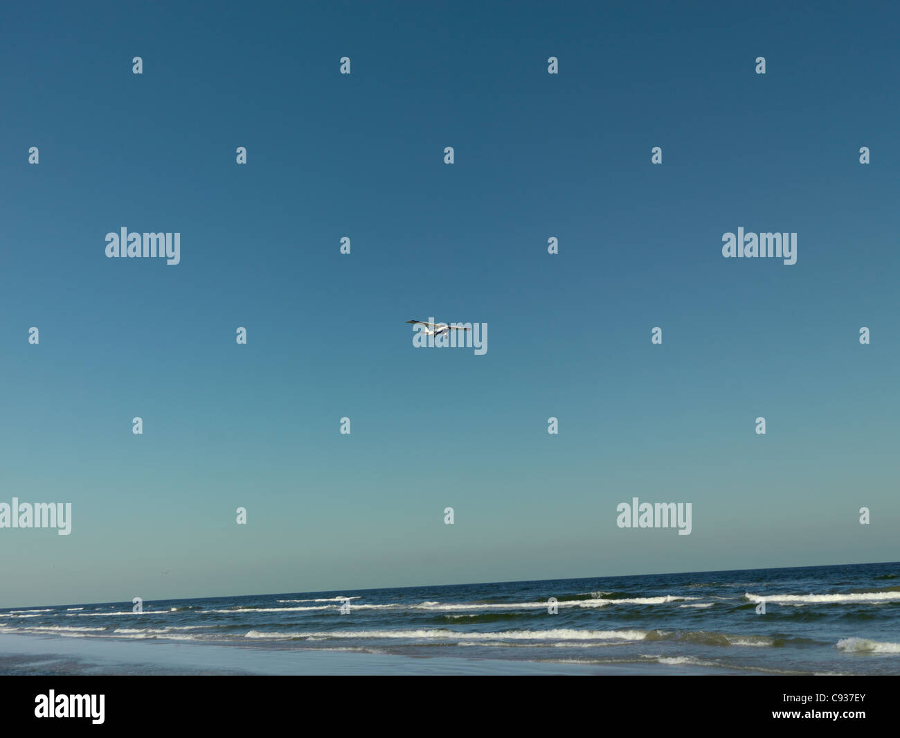 leisure white plane flying over sea shore Stock Photo - Alamy