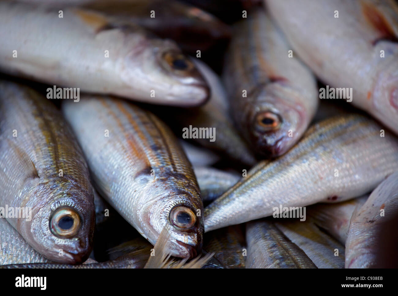 Sicily market fish hi-res stock photography and images - Alamy