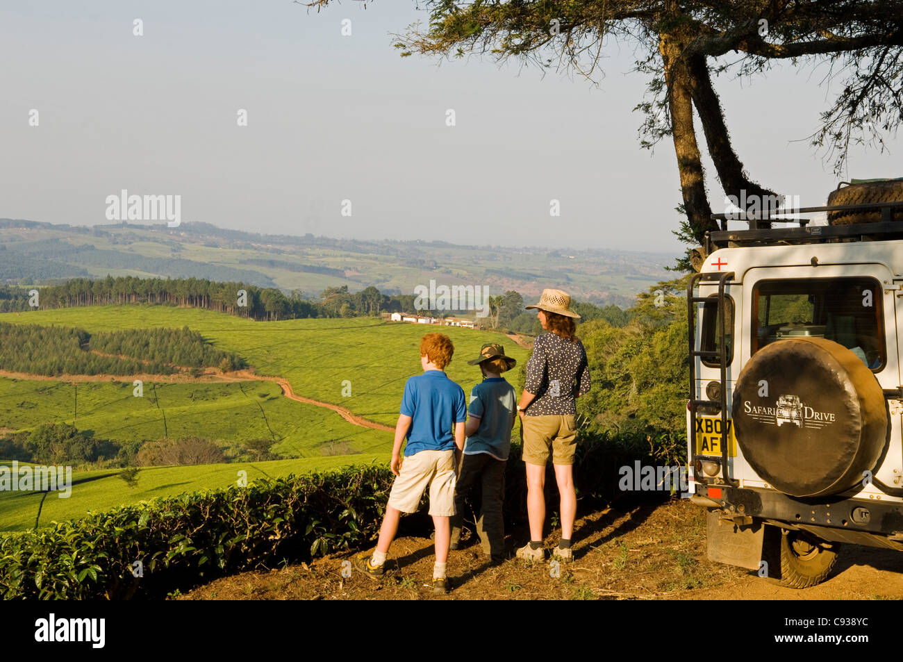Malawi, Thyolo, Satemwa Tea Estate. Visitors look out over the tea ...