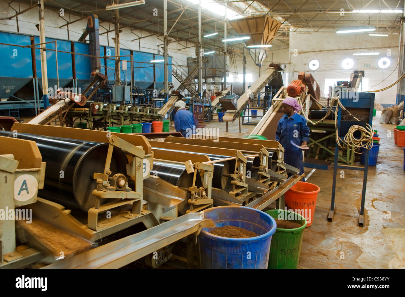 Tea production in malawi africa hi-res stock photography and images - Alamy