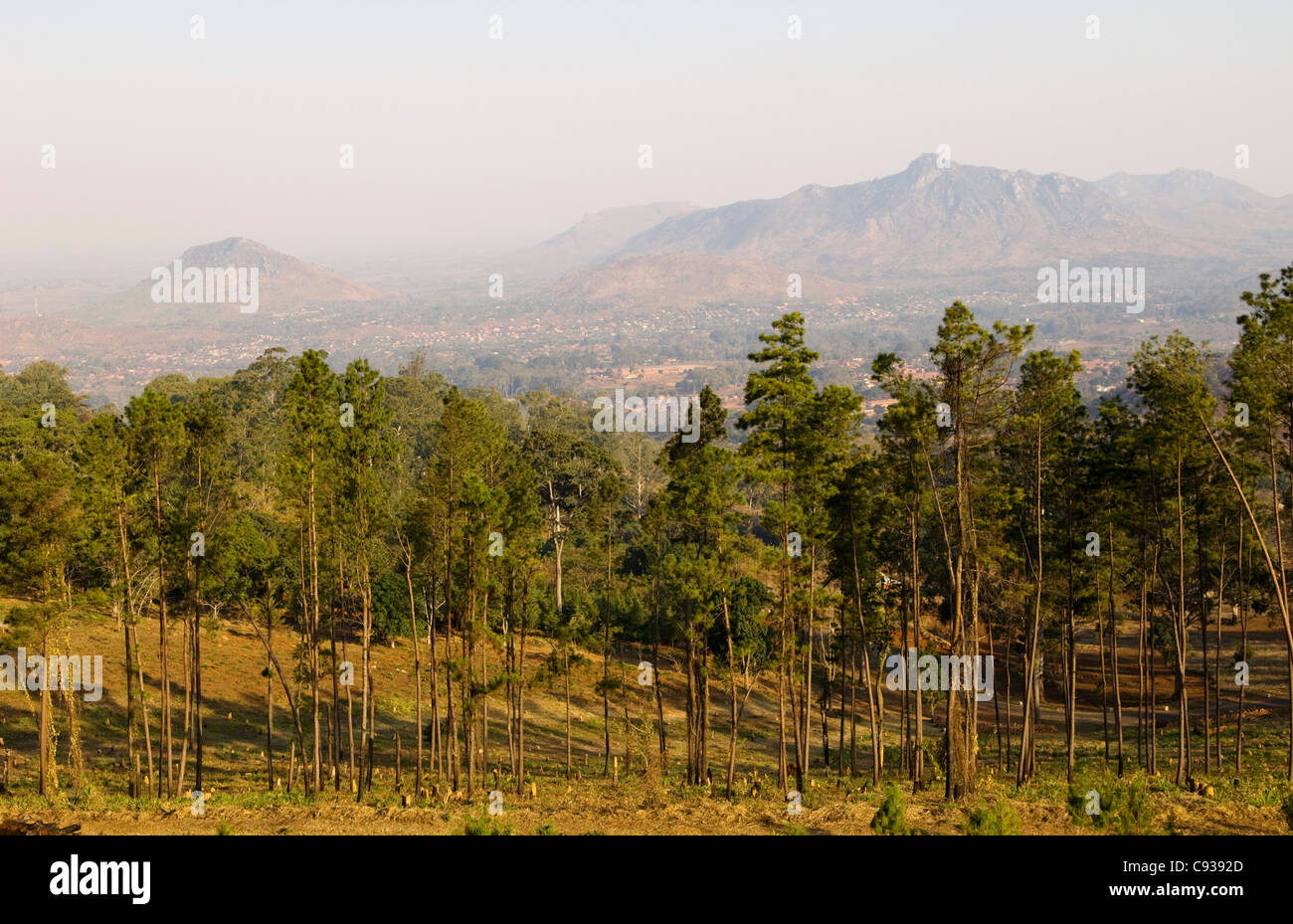 Zomba and malawi hi-res stock photography and images - Alamy