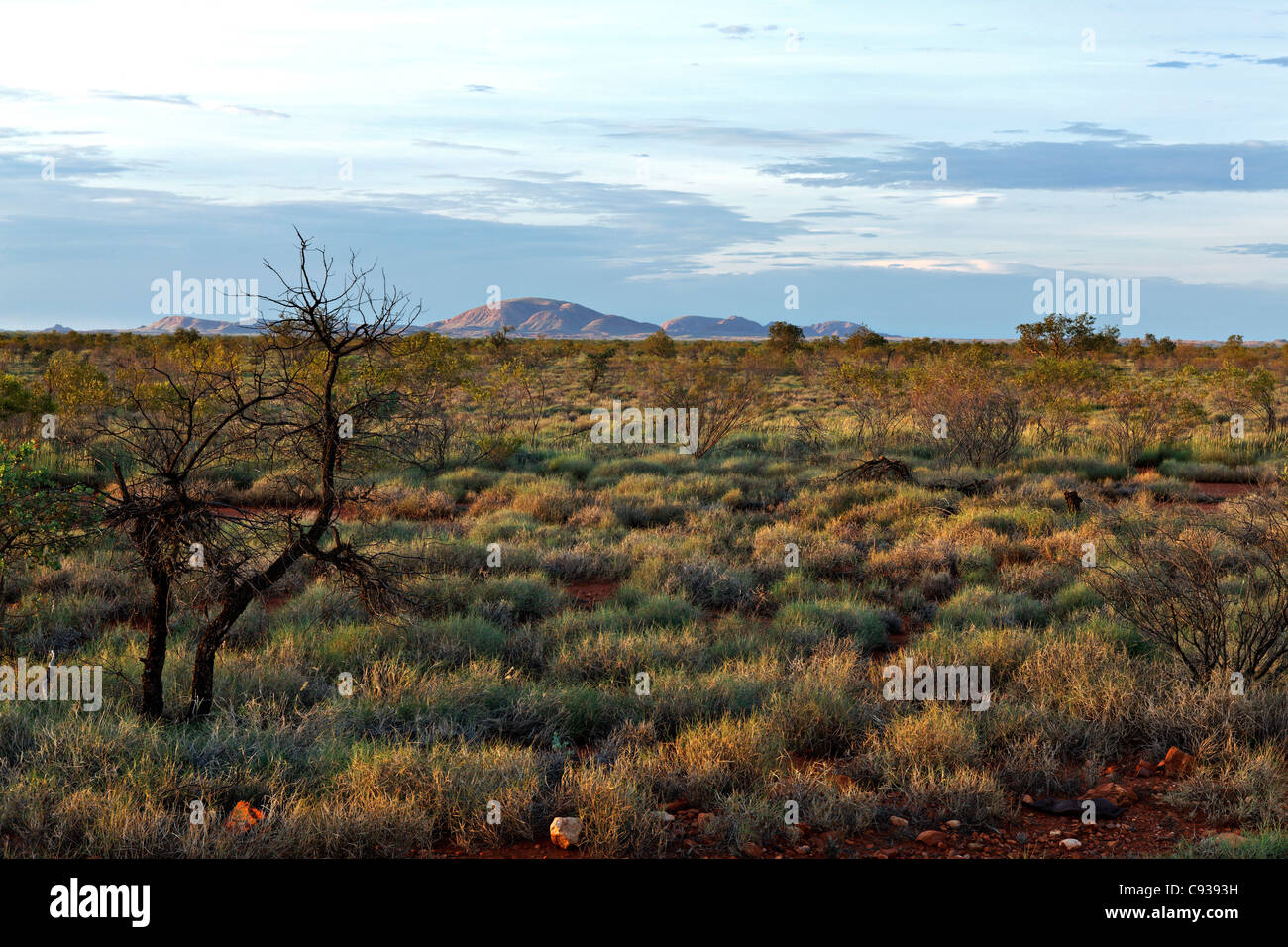 Australian outback landscape, Pilbara Western Australia Stock Photo - Alamy