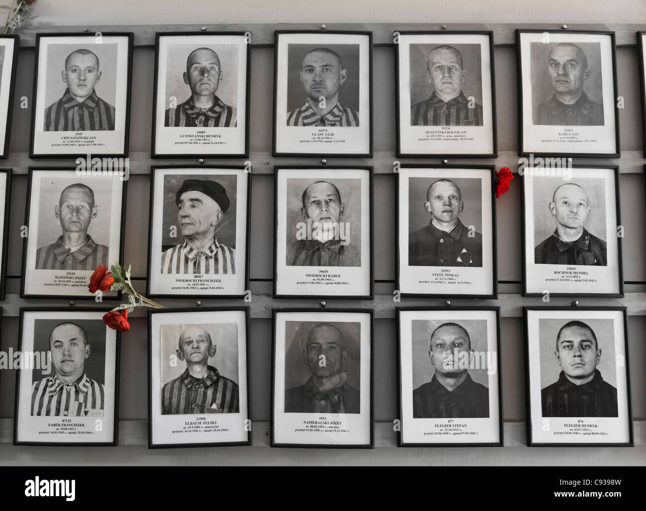 Poland, Oswiecim, Auschwitz I. Photographs of Polish victims Stock ...