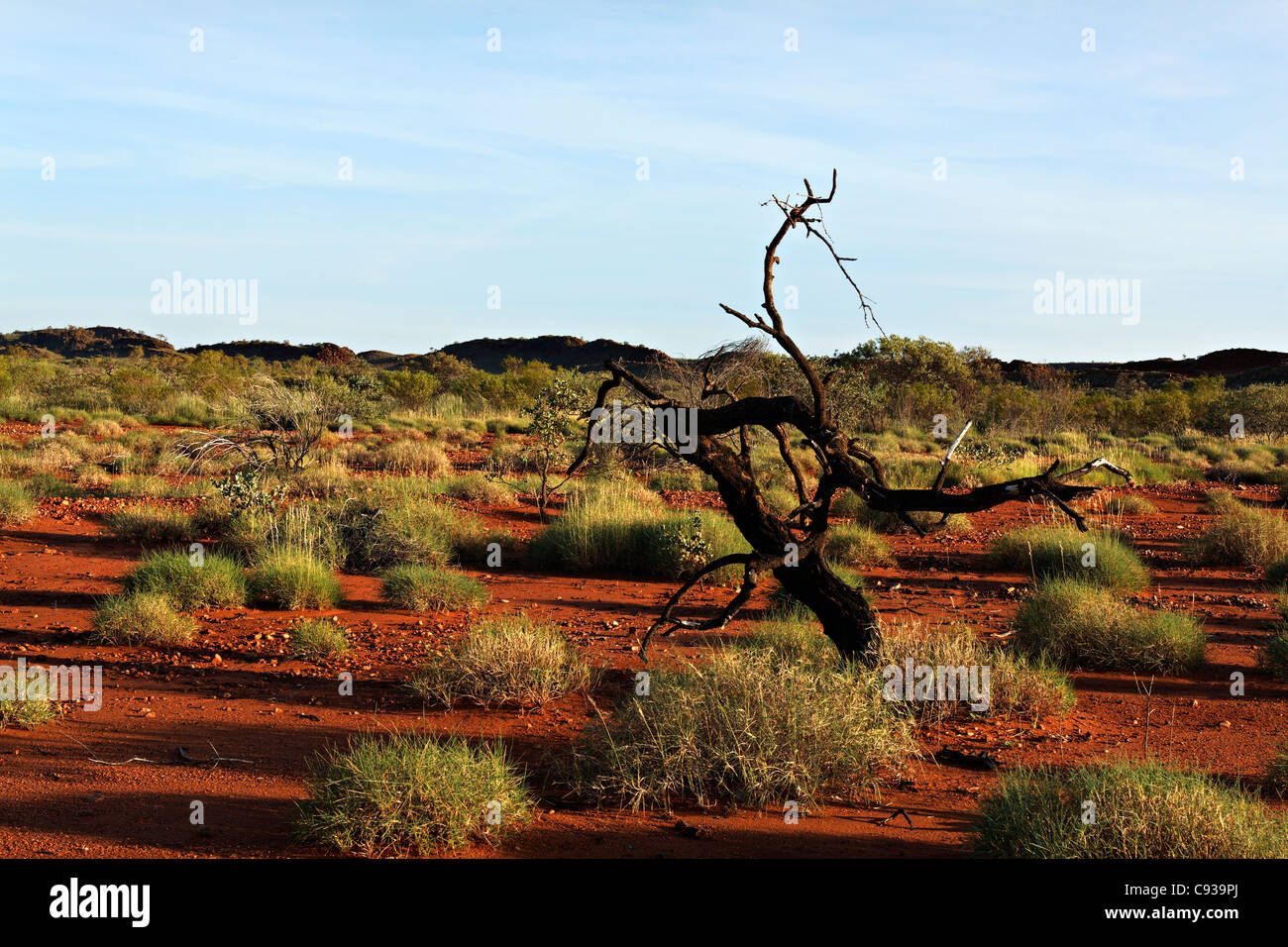 Australian outback landscape, Pilbara Western Australia Stock Photo - Alamy