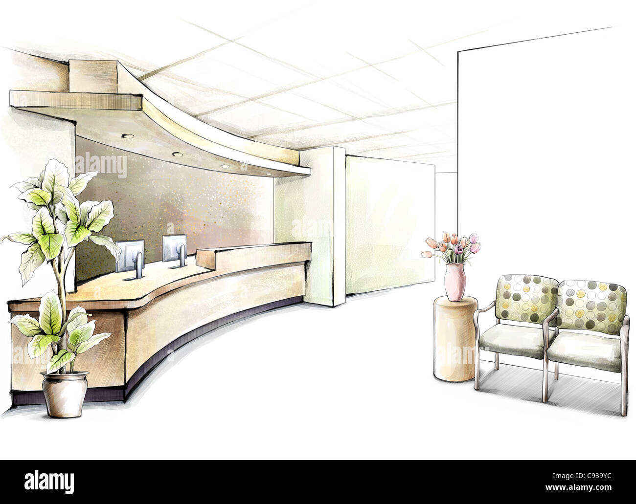 Reception Desk Potted Plant High Resolution Stock Photography and ...