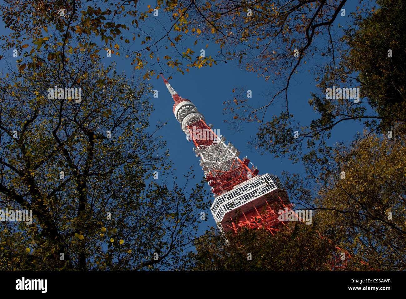 Tokyo Tower seen through winter trees. Tokyo, Japan Stock Photo - Alamy