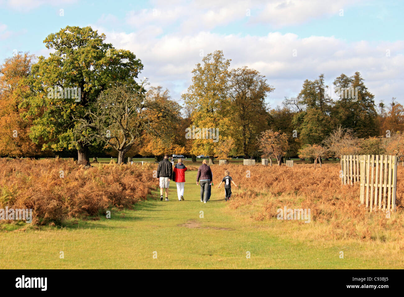 Bushy Park is one of London's Royal Parks near Hampton Court in south ...