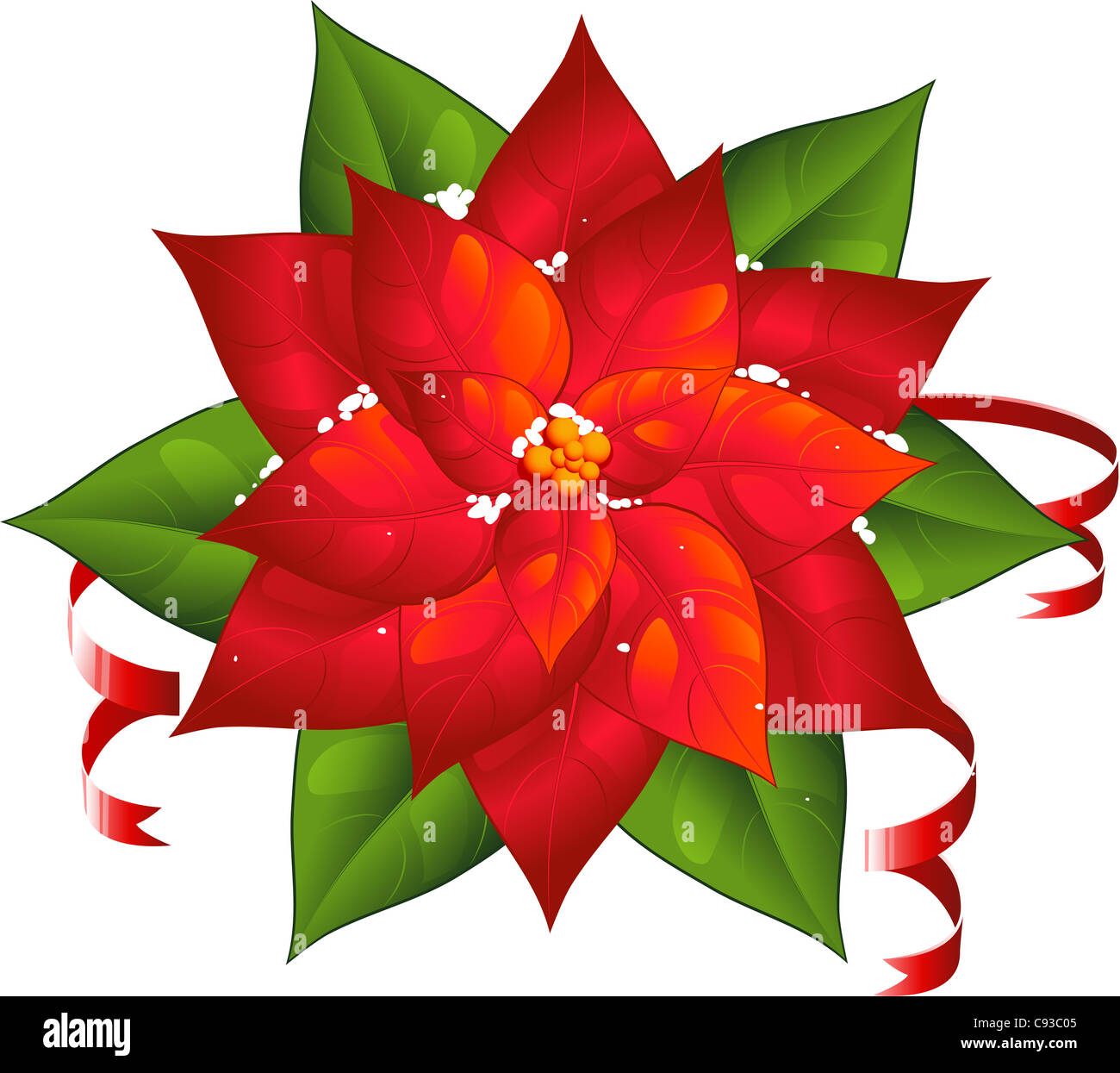 Poinsettia flower vector hi-res stock photography and images - Alamy
