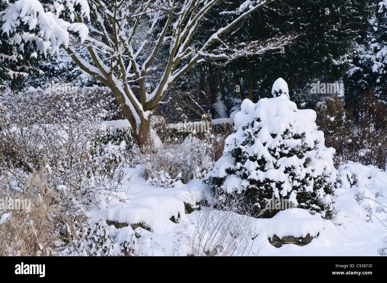 Snowy perennial garden Stock Photo - Alamy