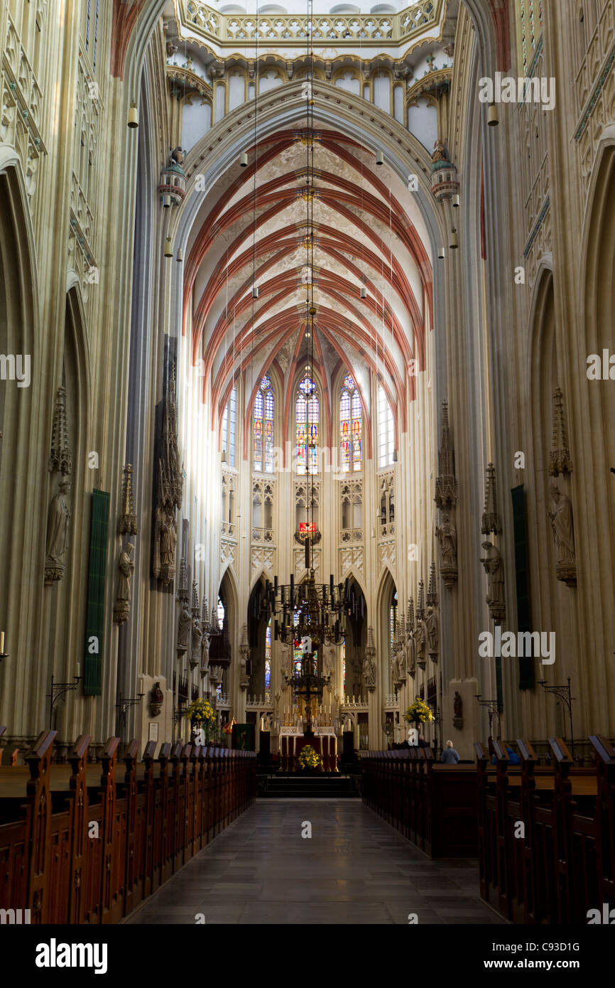 Interior of Sint Janskathedraal (Saint John's Cathedral in English) in ...