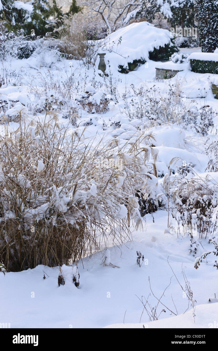 Snowy perennial garden Stock Photo - Alamy