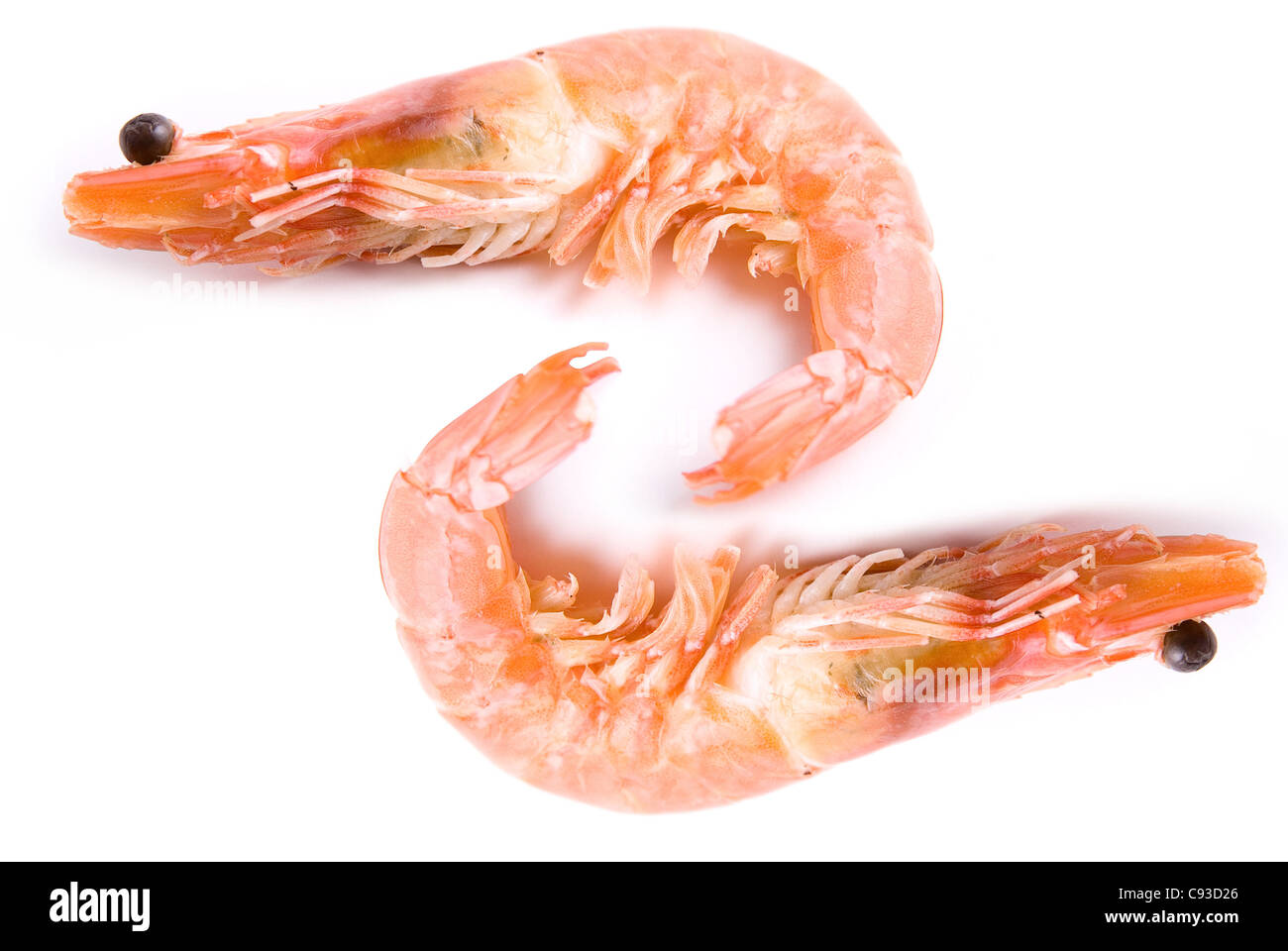 Two Shrimps isolated on white background Stock Photo - Alamy