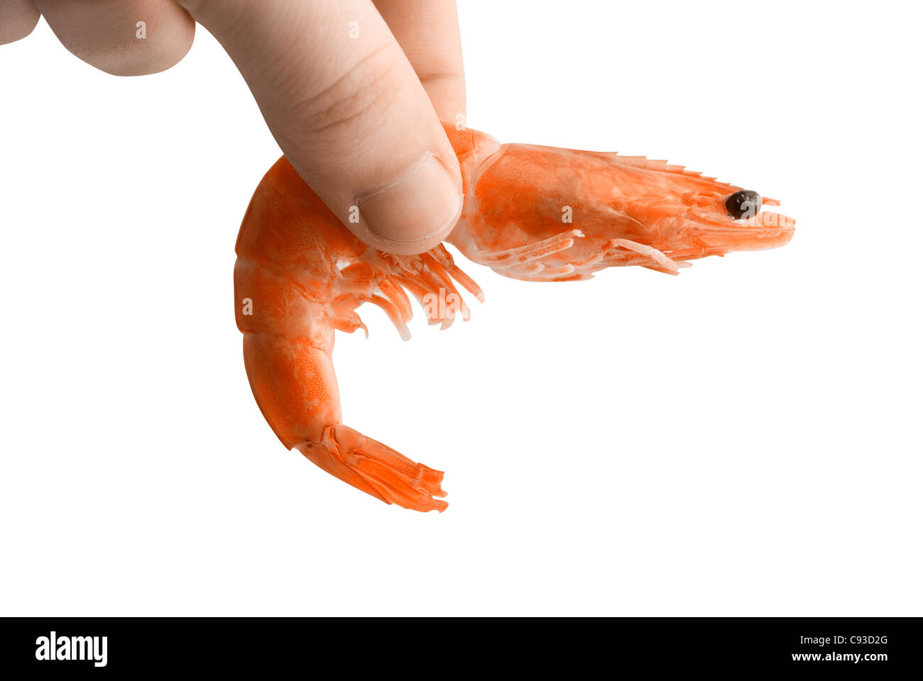 Hand hold Shrimp isolated on white Stock Photo - Alamy