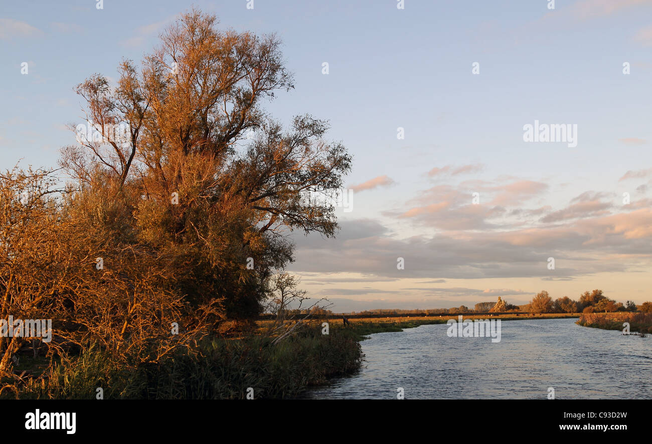 Views of The Fens from the river Great Ouse Stock Photo - Alamy