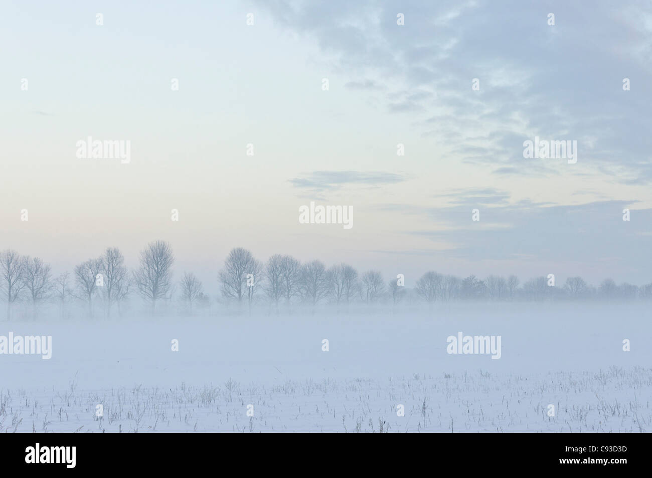Winter landscape at dusk Stock Photo - Alamy