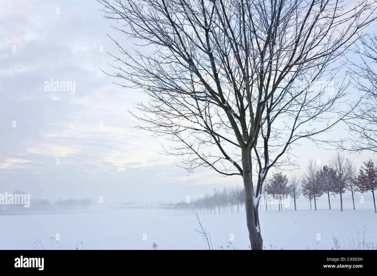 Winter landscape at dusk Stock Photo - Alamy