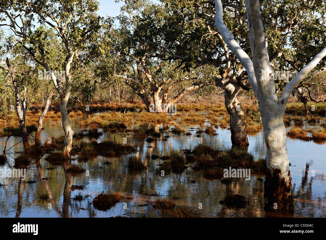 Pilbara australia hi-res stock photography and images - Alamy