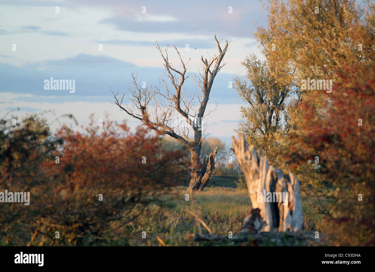 Views of The Fens from the river Great Ouse Stock Photo - Alamy