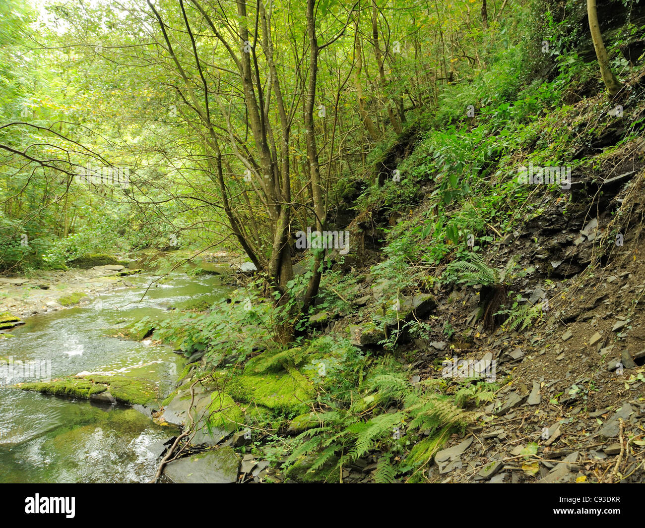 Edw river hi-res stock photography and images - Alamy