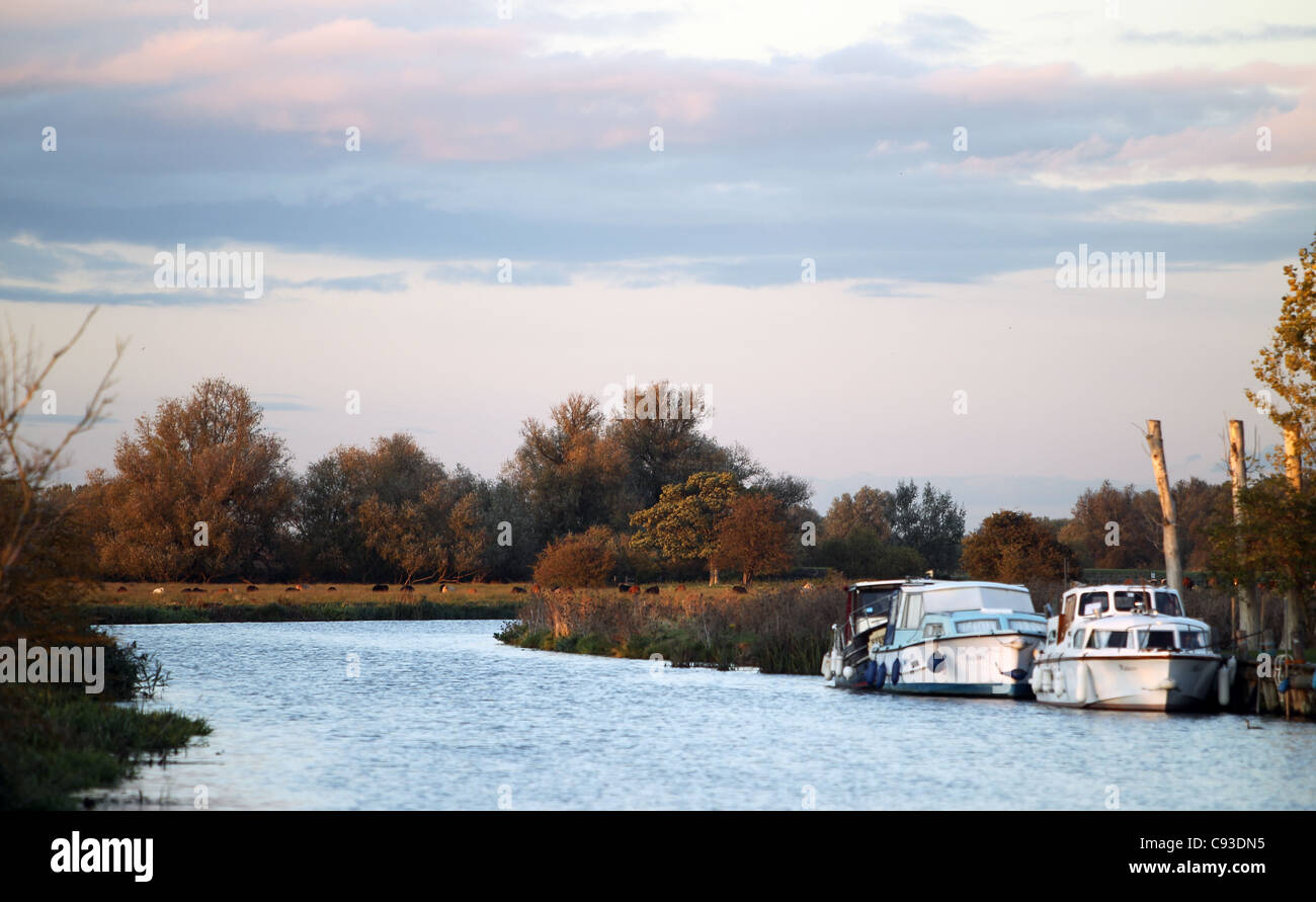 Views of The Fens from the river Great Ouse Stock Photo - Alamy