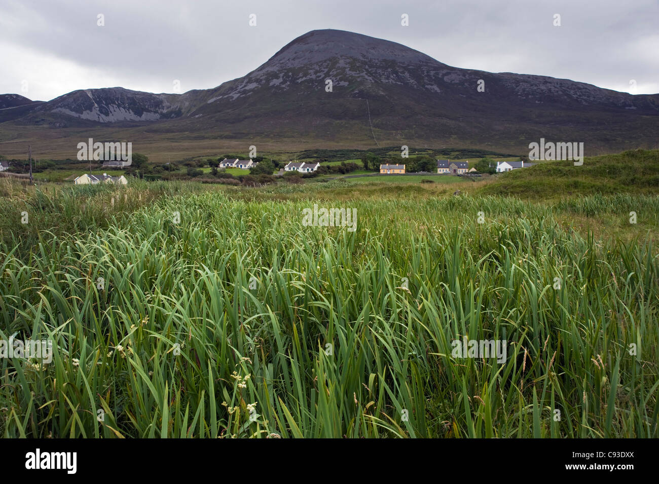 Croagh Patrick, County Mayo, Ireland Stock Photo - Alamy