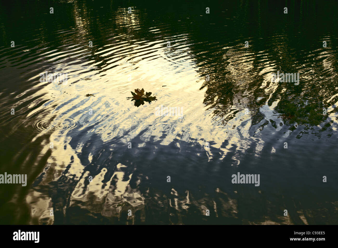 Dark water hi-res stock photography and images - Alamy