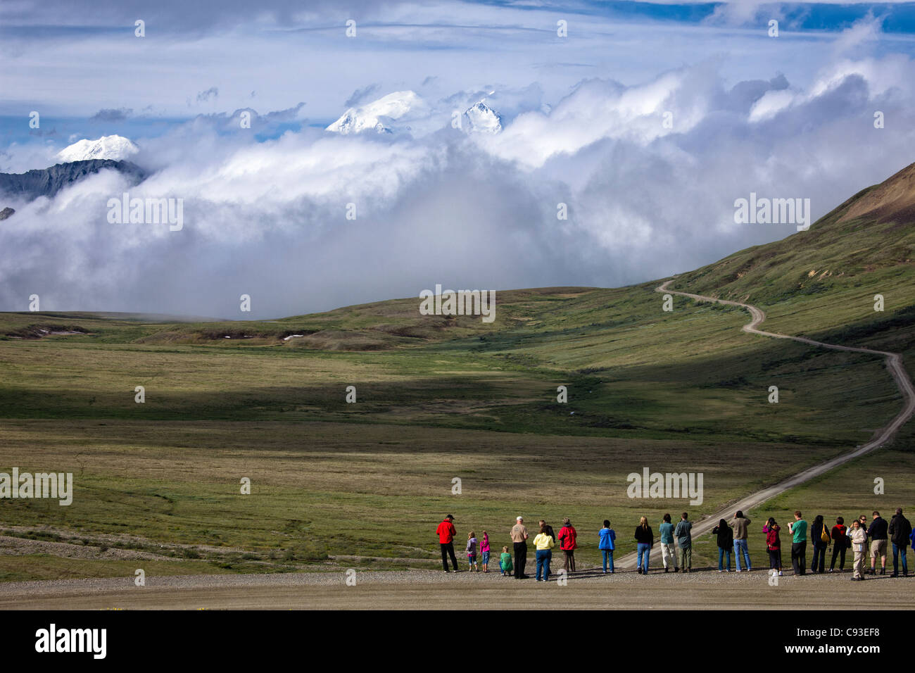 Tourists view Denali (Mt.McKinley) within Denali National Park Stock ...