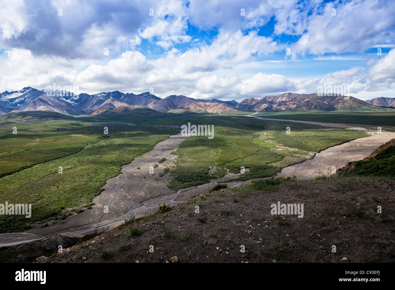 Panorama view of Polychrome Pass in Denali National Park,Alaska Stock ...