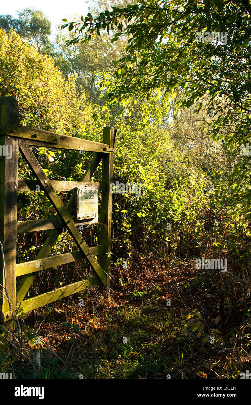 Open Gate in Woodland Stock Photo - Alamy
