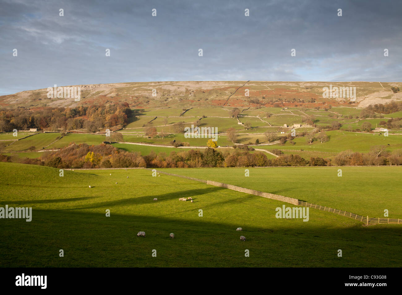 Swaledale countryside scene, yorkshire dales Stock Photo - Alamy
