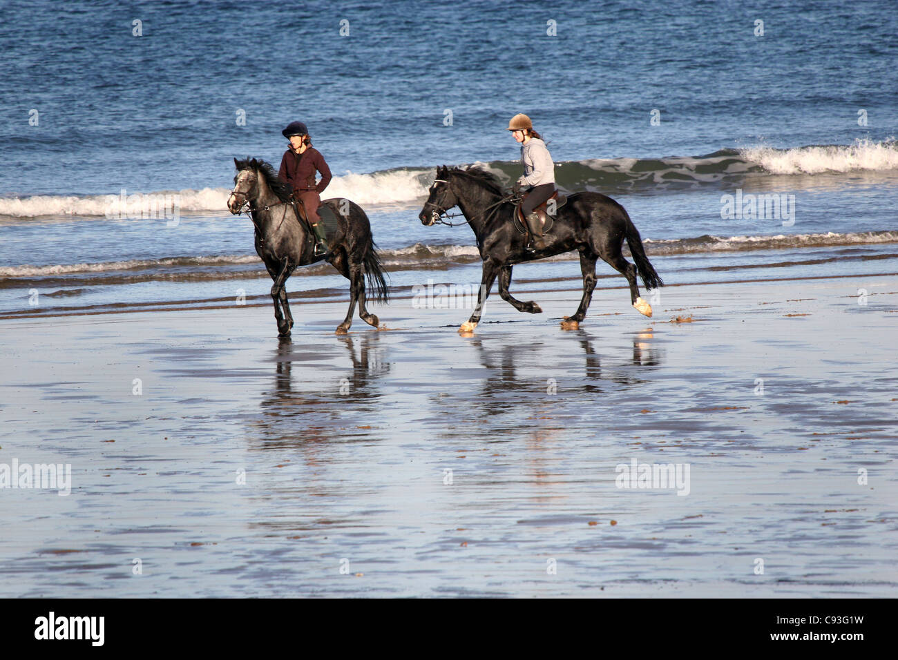 Water exercise horse hi-res stock photography and images - Alamy