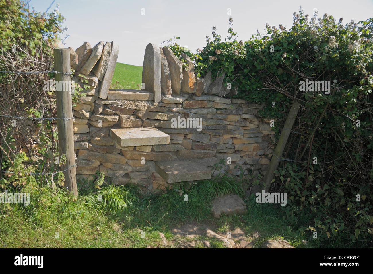 A traditional stone public footpath stile on a south coast path (South ...