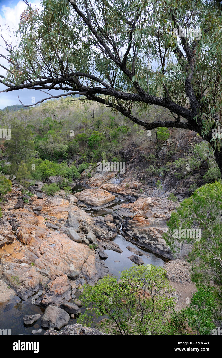 Alligator creek hi-res stock photography and images - Alamy