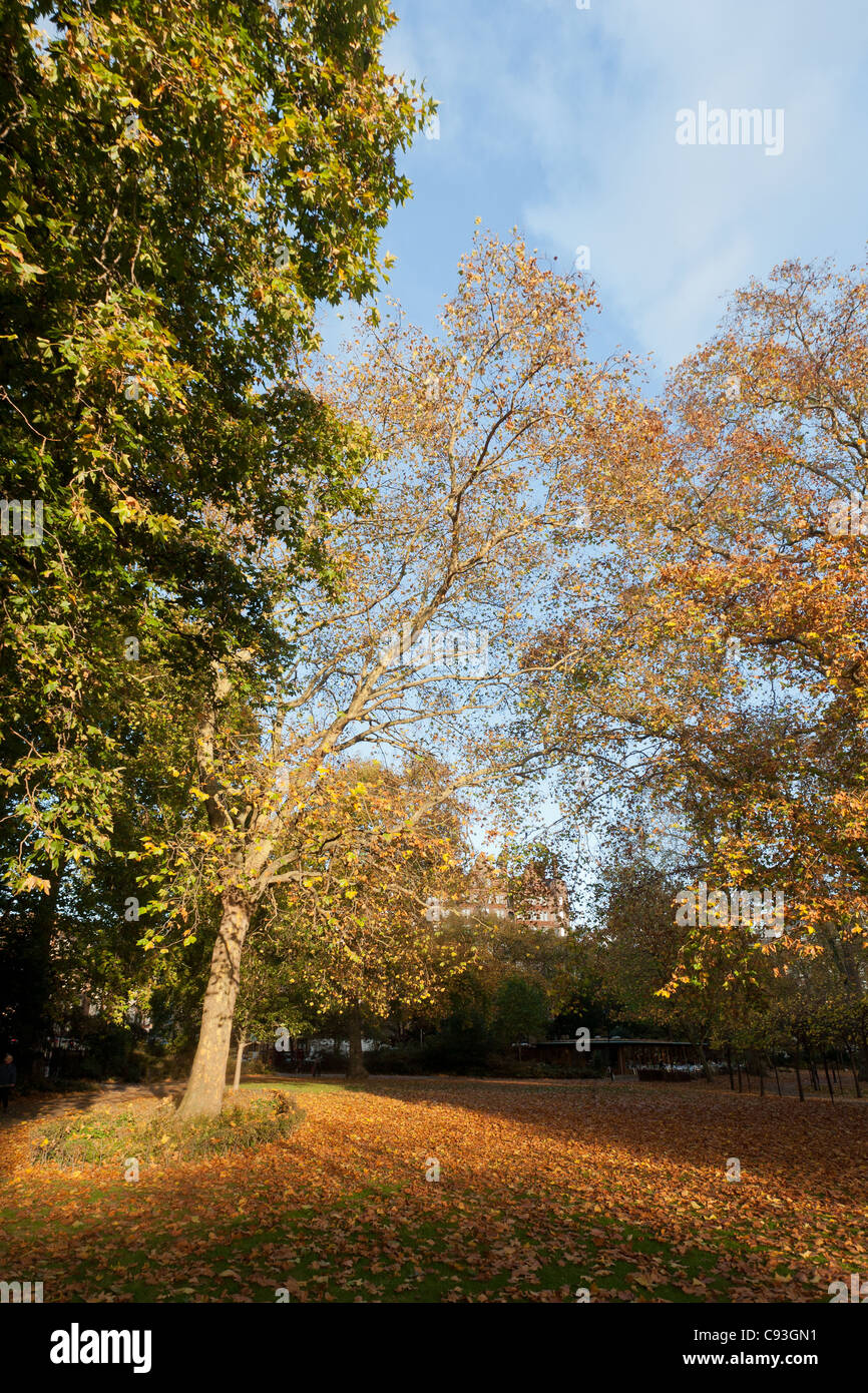 Russell square autumn hi-res stock photography and images - Alamy