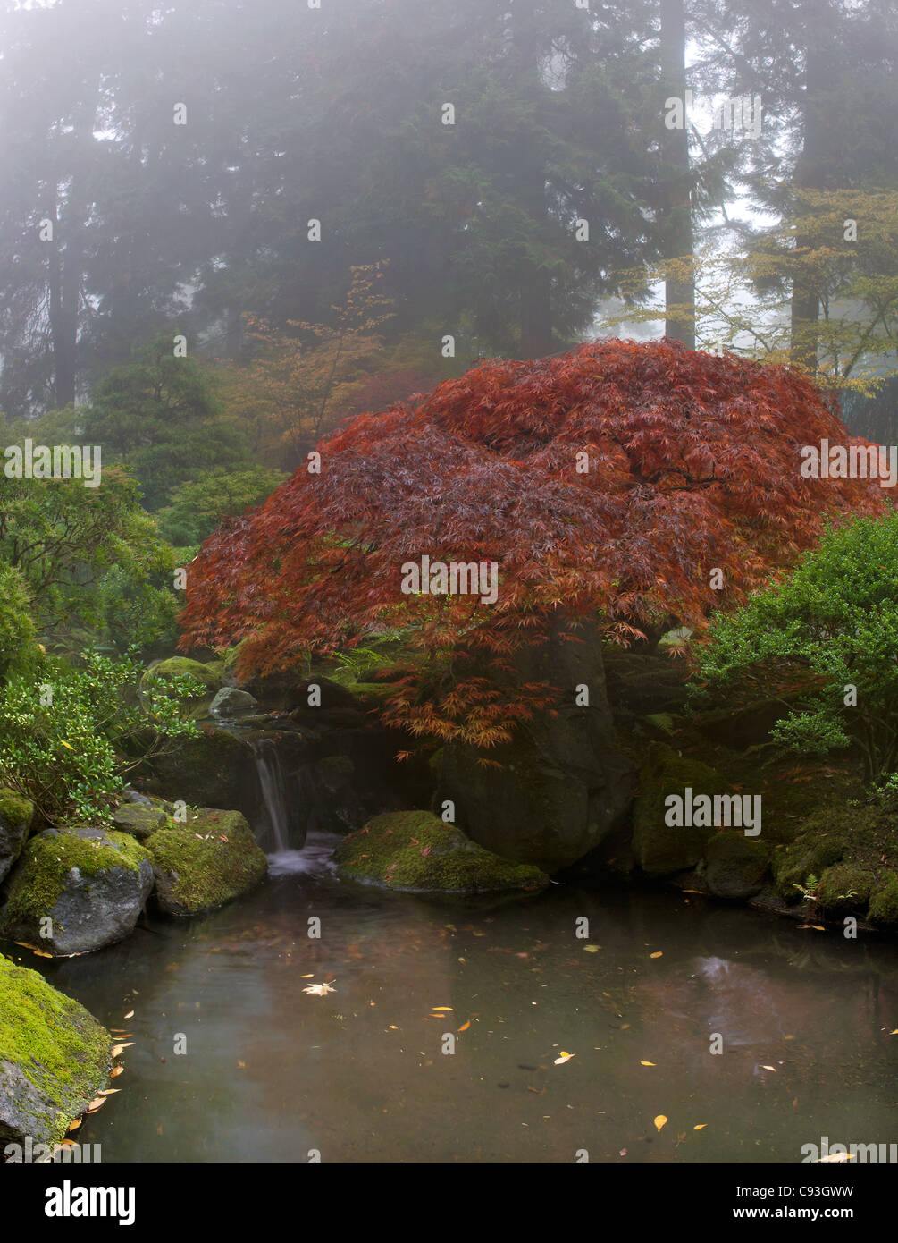 Waterfall japanese garden foliage hi-res stock photography and images ...