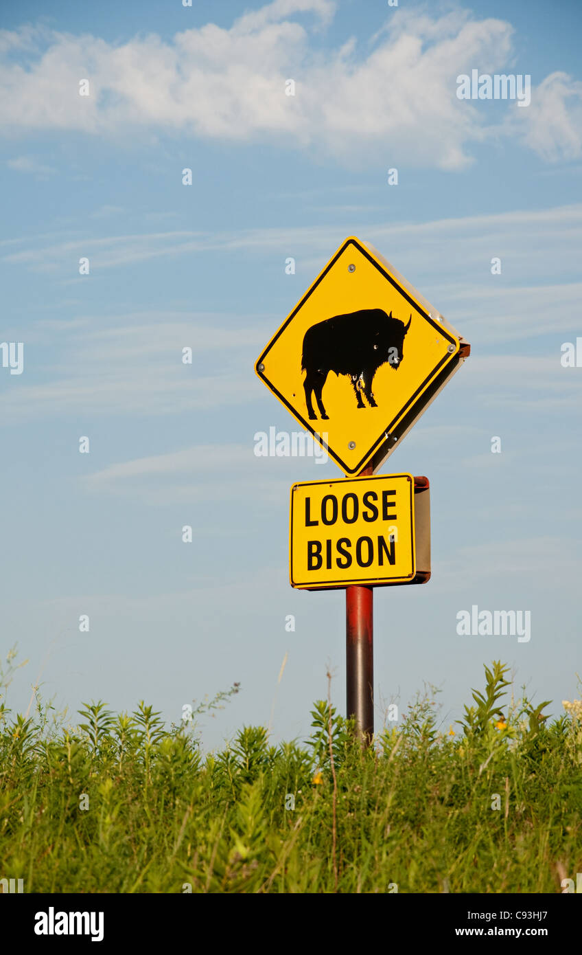 Loose bison sign on prairie preserve Stock Photo - Alamy