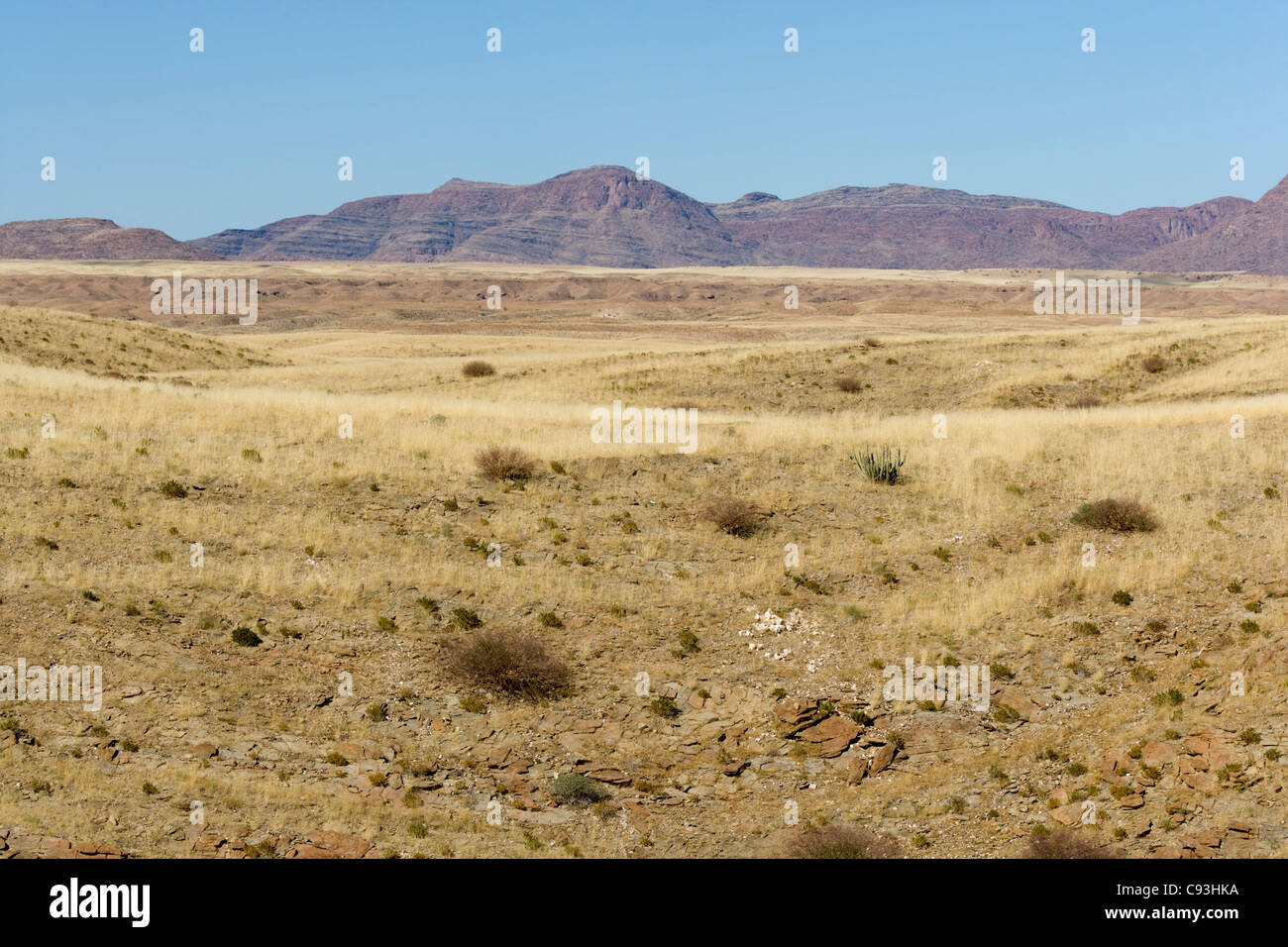 Landscape in Namibia Stock Photo - Alamy