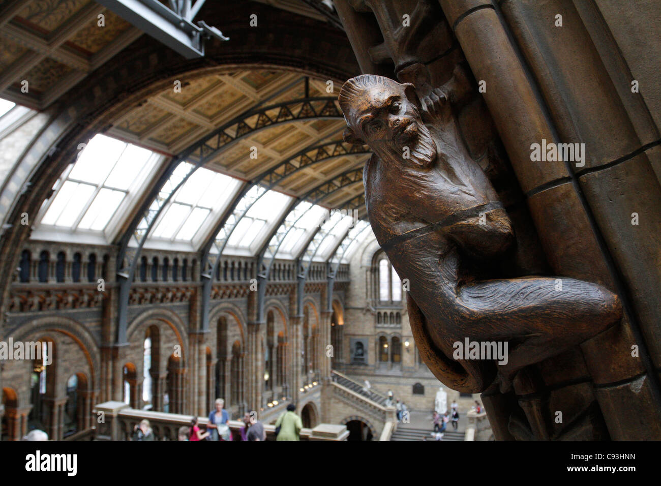 London natural history museum monkey hi-res stock photography and ...