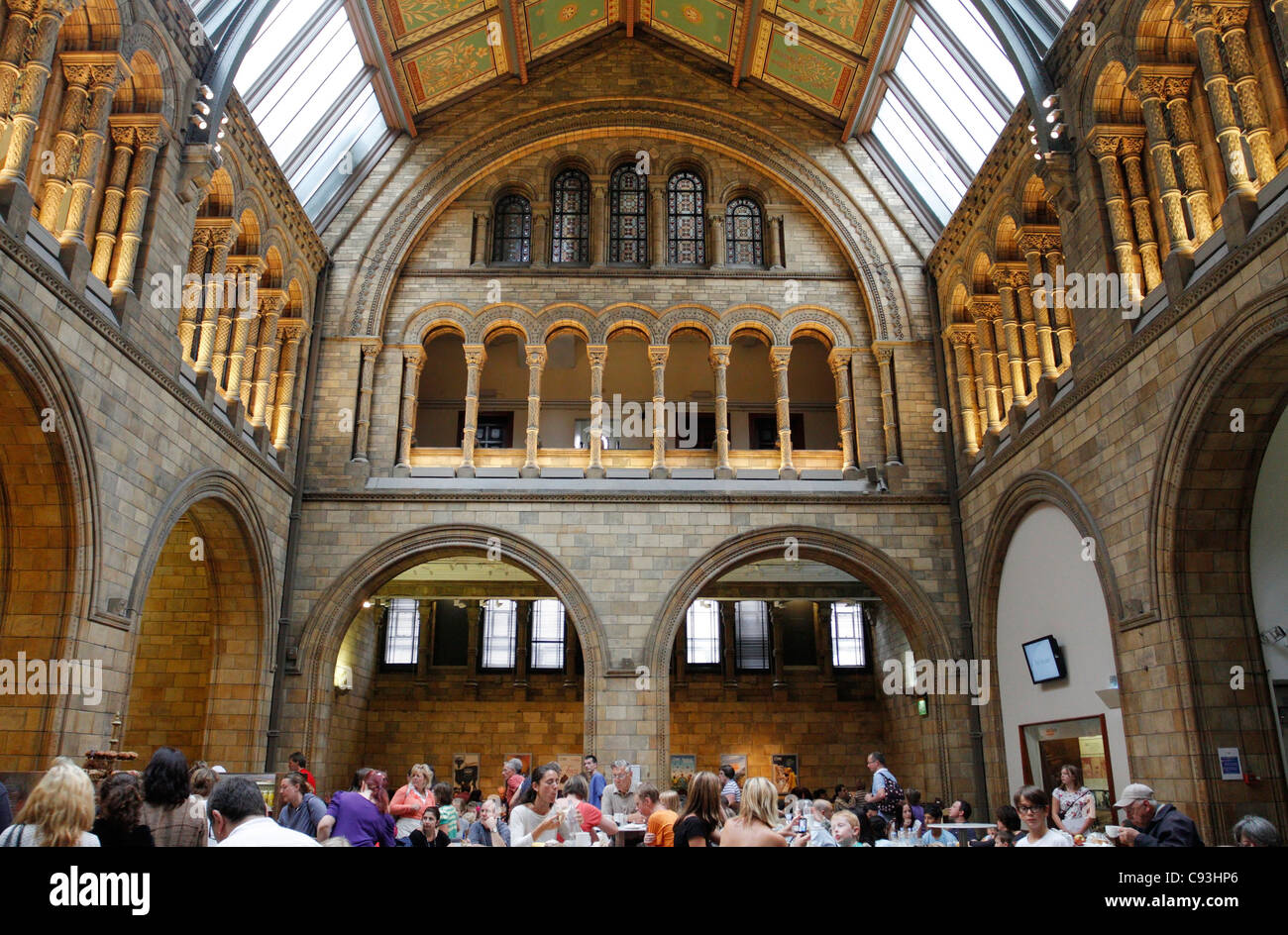 Restaurant in museum history hi-res stock photography and images - Alamy