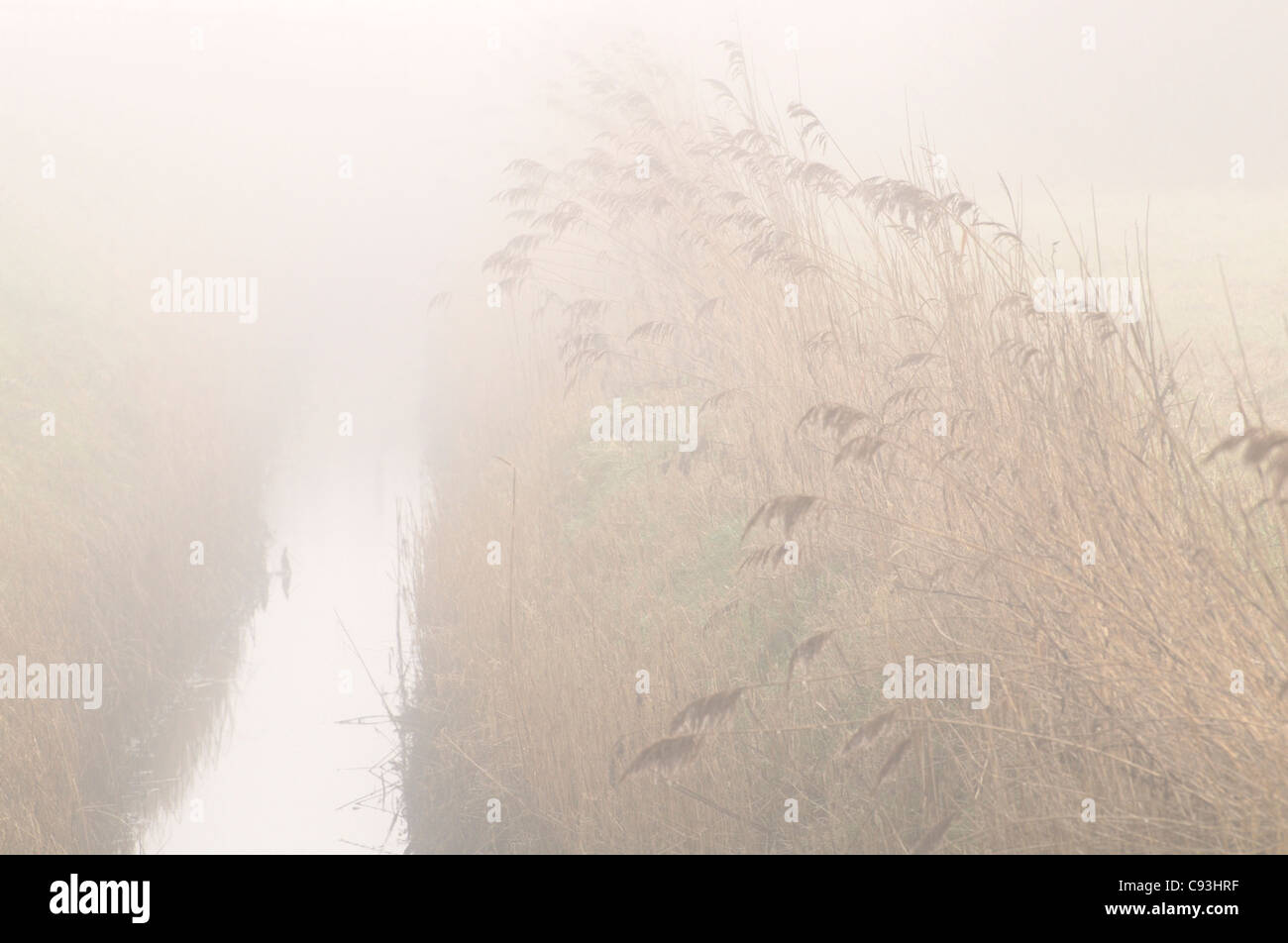 Drainage Reen Stock Photos & Drainage Reen Stock Images - Alamy
