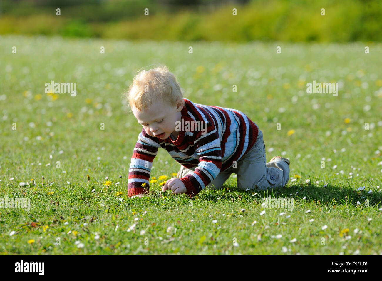 Boy picking flowers hi-res stock photography and images - Alamy