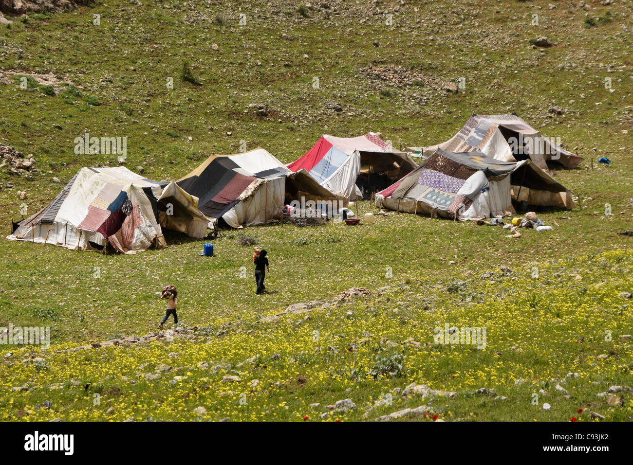 Semi-nomadic shepherds' camp, Eastern Anatolia, Turkey Stock Photo - Alamy