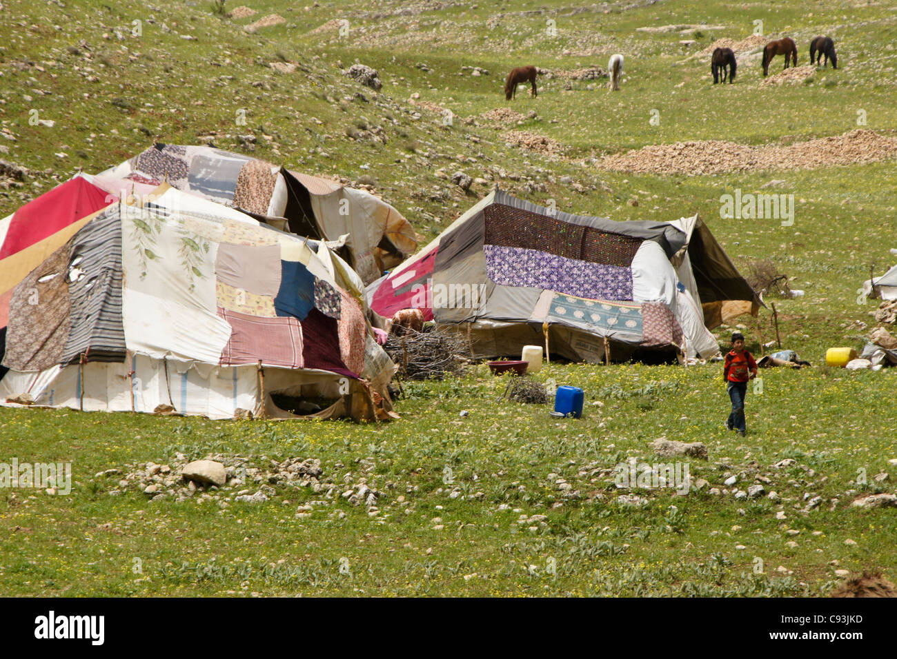Nomadic Shepherds Stock Photos & Nomadic Shepherds Stock Images - Alamy